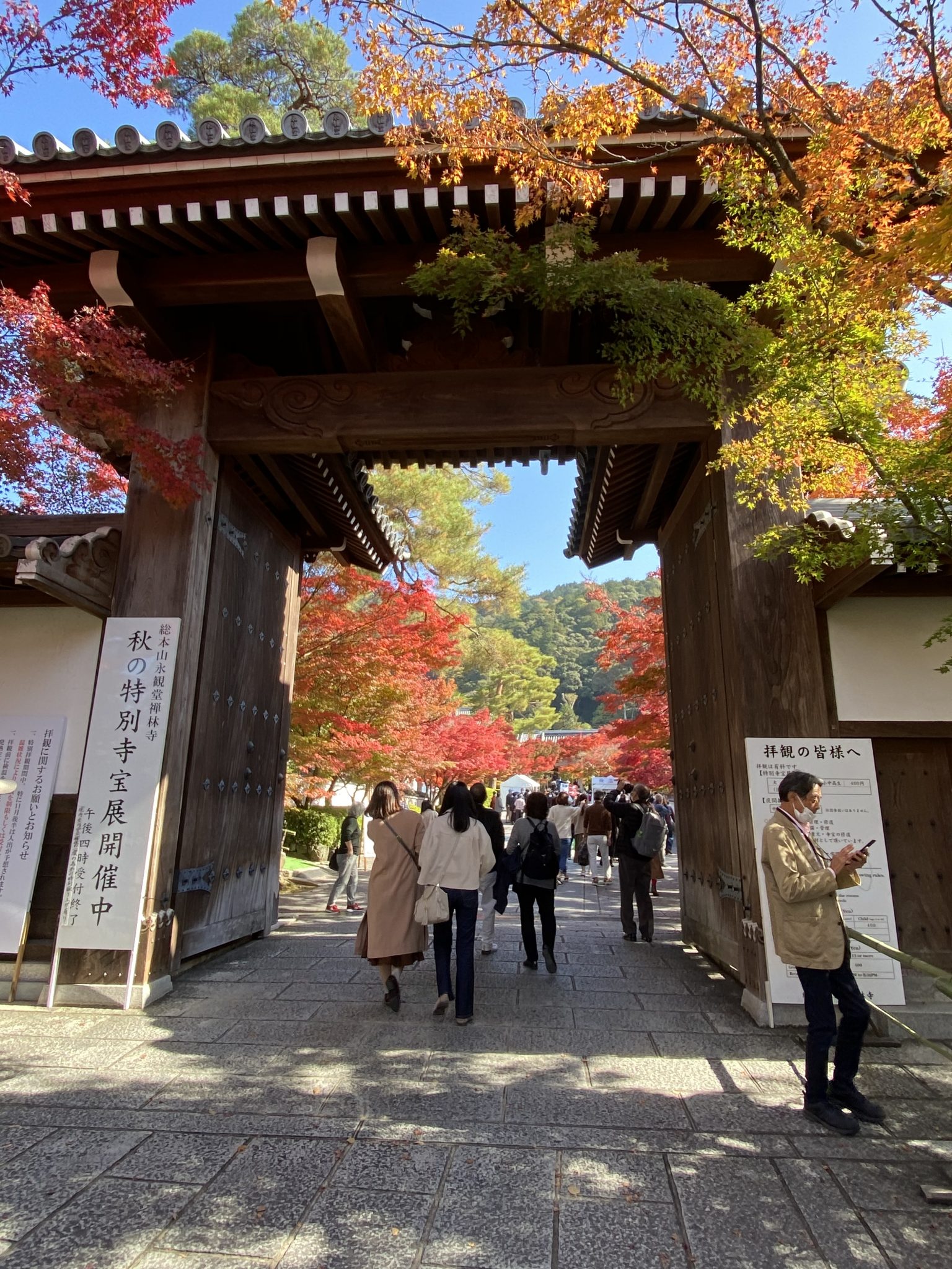 Eikando (Zenrinji Temple) | Enjoy Kyoto Night & Day