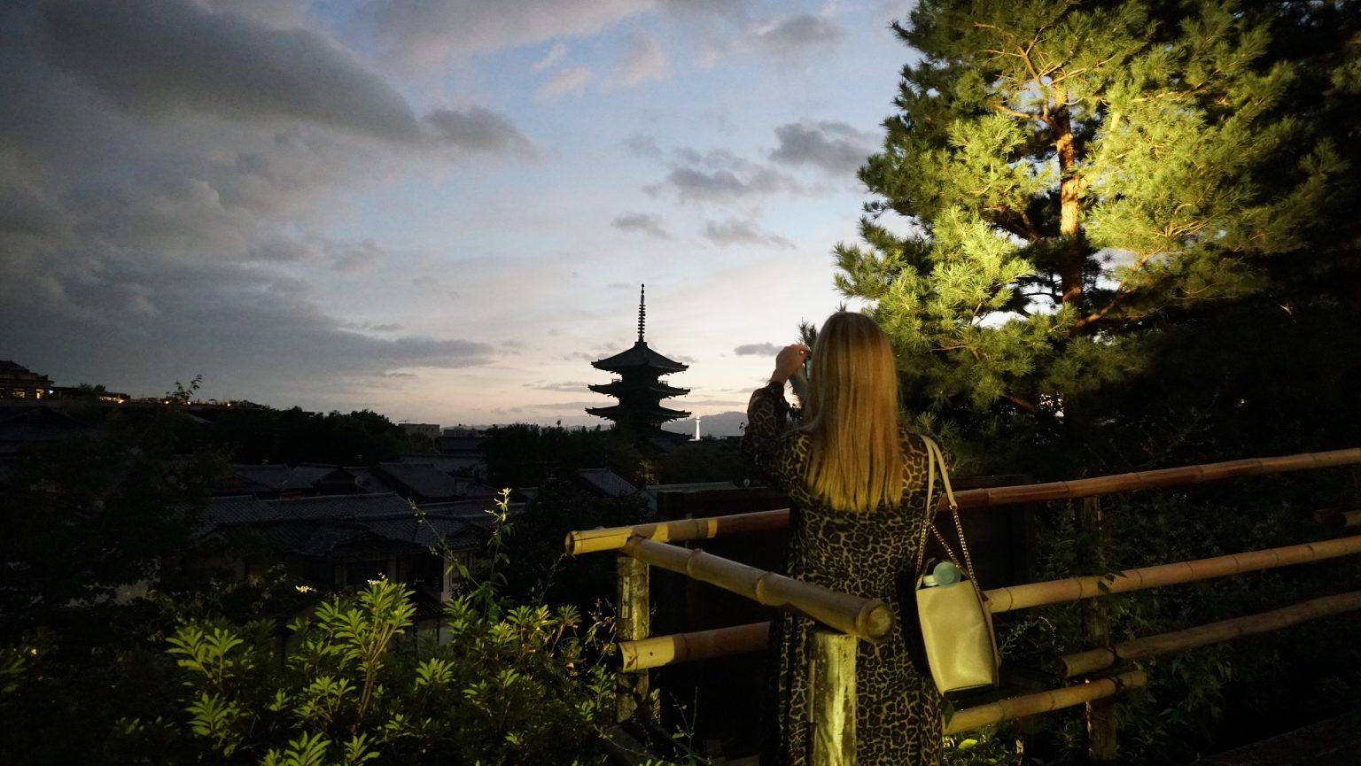Tour Guide around Gion area | Enjoy Kyoto Night & Day